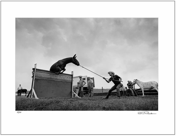Mule Jumping Contest, Perry – Small World Gallery